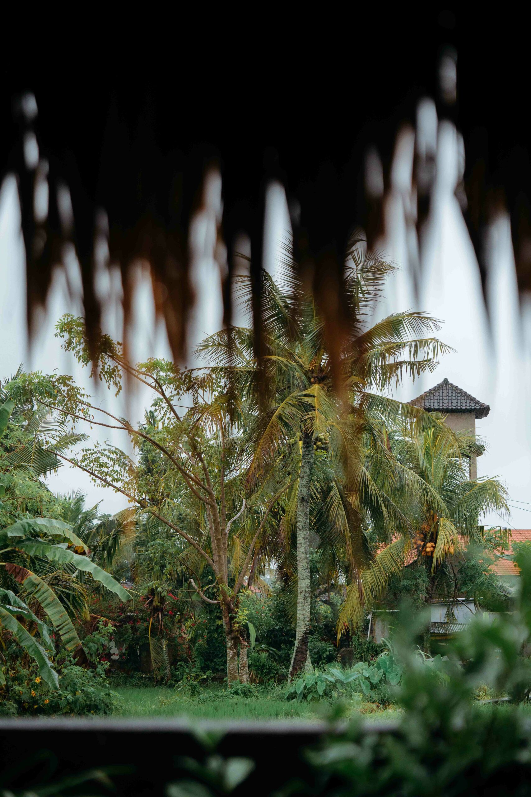 Private Room Spa with Rice Field View at Parina Spa Ubud - Parina Spa ...